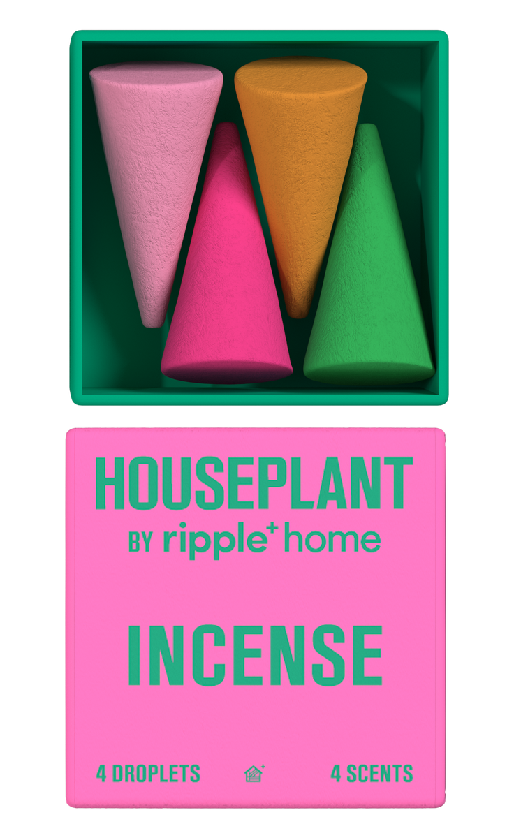 HOUSEPLANT MINI-PACK – theripplestoreUSA