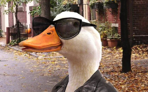 Shop online for natural diffusers - Ripple - sleep deprivation ...